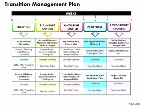 Business Transition Plan Template