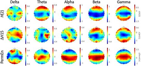 Spatial Maps Of Multifractal Parameters And Permen Group Averaged Download Scientific Diagram