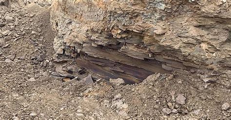 Fossil Area Album On Imgur