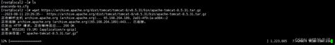 linux——tomcat安装及环境变量配置——（详细教程） linux配置tomcat环境变量 csdn博客