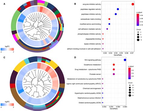 functional enrichment analysis of degs a go cluster b go analysis