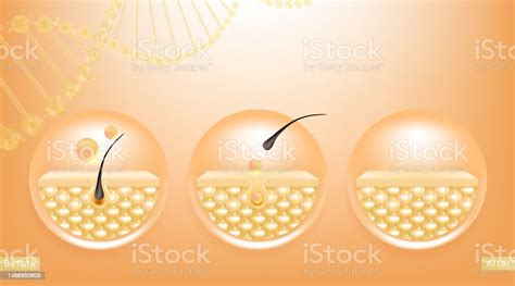 히알루론산 전후로 머리카락과 피부 솔루션 광고 사용할 준비가 된 화장품 광고 배경으로 피부 세포 위에 혈청 방울을 제거하는 금 그림 벡터 Dna에 대한 스톡 벡터 아트 및