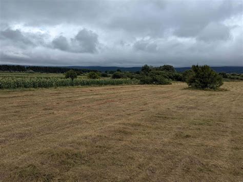 სოფლის სახლების ყიდვა გაყიდვა 🏠 Facebook