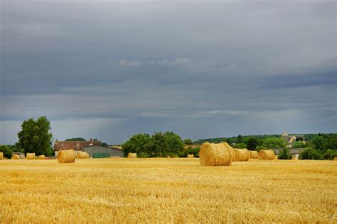 La Campagne En été Photo Et Image Les Saisons Eté Voyages En France