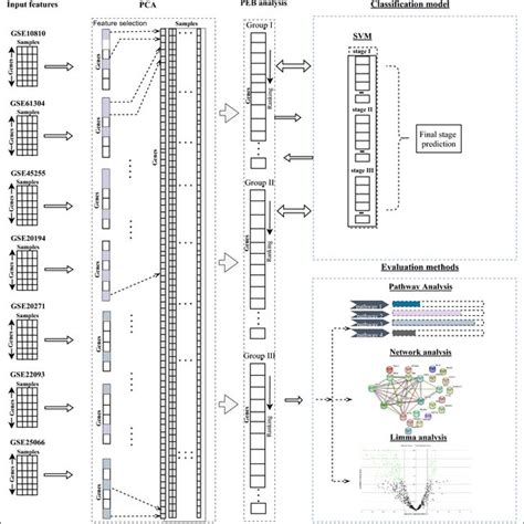 The Pipeline Used To Develop A Classification Model By Analysing Gene