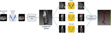 Proposed Method For Aorta Segmentation On The Left The Coarse