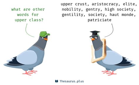 More 210 Upper Class Synonyms Similar Words For Upper Class