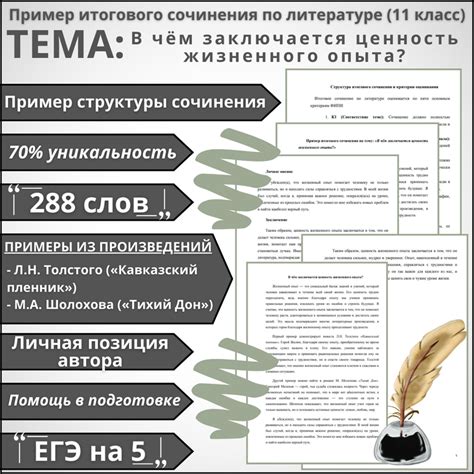 Пример итогового сочинения по литературе на тему «В чём заключается ценность жизненного опыта