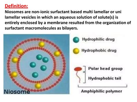 Niosomes Targetteddrug Delivery System Pptx