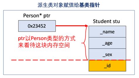 【c】继承 详解两个派生类 重载 Csdn博客