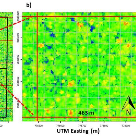 Illustration Of The Lidar Leaf Area Index Lai 50 × 50 M Grids