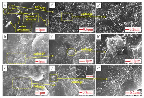 Fe Sem Micrographs Of Composites With Different Mwcnt Contents A 2
