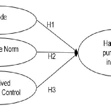 Schematic Diagram Of The Conceptual Framework Download Scientific Diagram