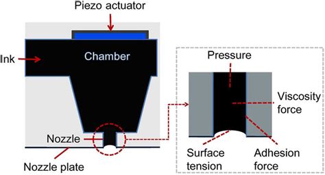 润湿性和表面张力在喷墨打印过程中液滴形成中的作用。 Scientific Reports X Mol