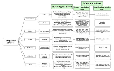 Figure 2 From Stress Mediated Cis Element Transcription Factor