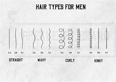 Understanding Mens Hair Types A Complete Guide Sciencequick