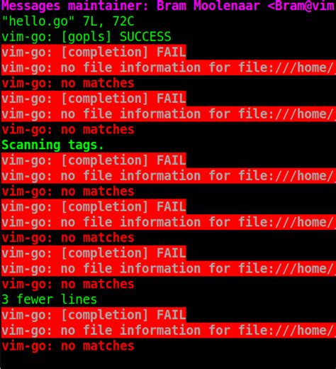 Autocomplete Fails With No File Information For In Vim 81 · Issue 2221 · Fatihvim Go