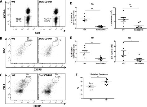 Intrinsic Defect Of Stat Deficient Tfh And Tfr Cell Download Scientific Diagram