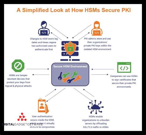 Understanding Hsm Definition And Explanation Updated September 2024