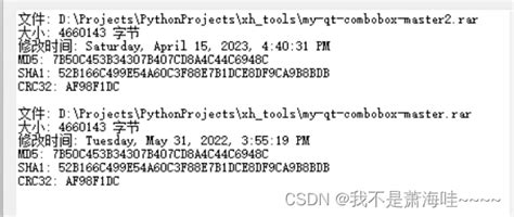 Python Csdn