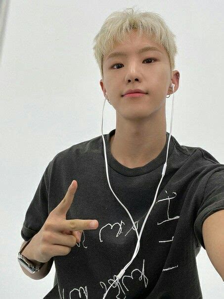 Pin De łυcy ωαηg En Sєѵєηтєєη Woozi Adiestrar