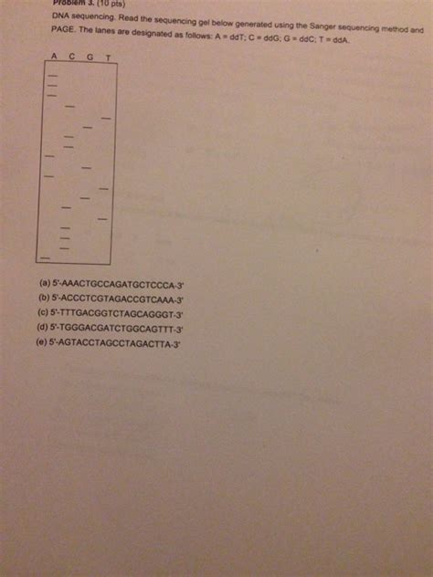 Solved Dna Sequencing Read The Sequencing Gel Below