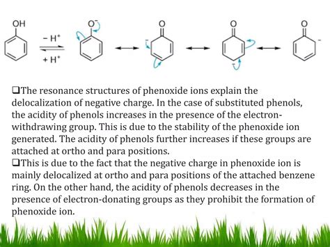 Phenols Pptx