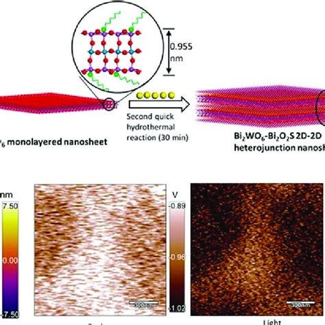 A Schematic Illustration Of Synthesis Of 2d 2d Heterostructured