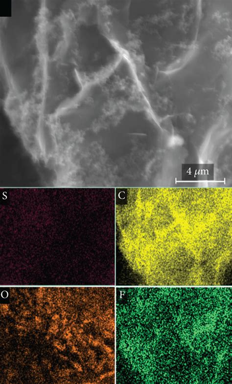 Sem Images And Elemental Mapping Of The G S G Cathode A Before And Download Scientific