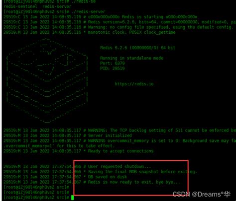 linux搭建服务器之三：安装redis（linux redis配置外网访问） linux操作redis允许外部访问 csdn博客