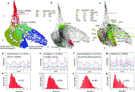 Clusters For The Yeast Metabolic Cycle Ymc Dataset 9334g 36 Time