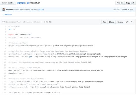 Continuous Fuzzing With Go At Dgraph Hypermode