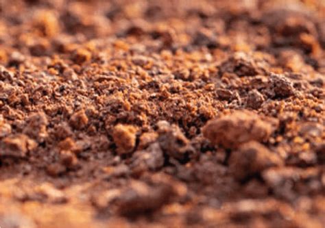 Arcilla Cantera La Realidad