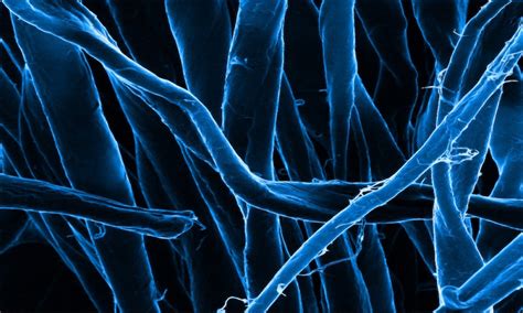 Can You Master These Basic Science Questions I