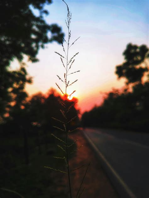 Sayan Ghosh Fotografía