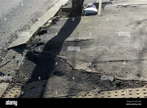 Tree Damage Pavement Hi Res Stock Photography And Images Alamy