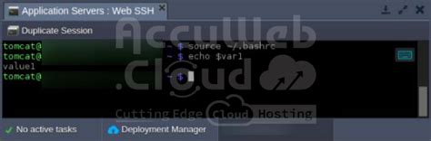 Configure Custom Environment Variables Accuwebcloud