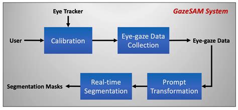 Gazesam Interactive Image Segmentation With Eye Gaze And Segment Anything Model