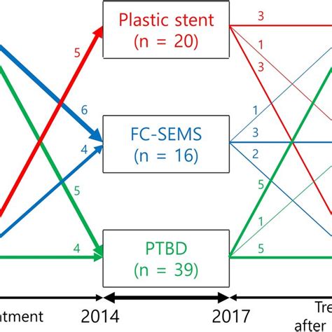 Flow Chart Showing Previous Treatments And Treatments After Recurrence