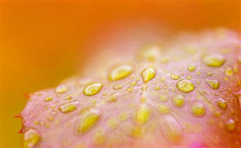 Heute Hat Es Geregnet Ab Morgen Sonne Freu Foto And Bild Experimente Wasser Tropfen