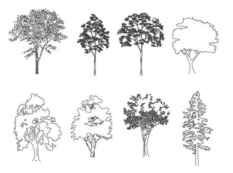 Common D Tree Elevation Blocks Cad Drawing Details Dwg File Cadbull