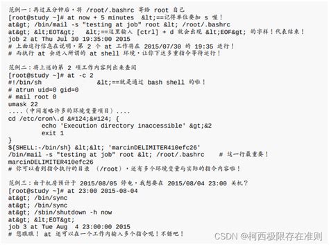 15 2 【linux】仅执行一次的工作调度 linux调度任务只启动一次 csdn博客