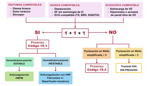 Código 19