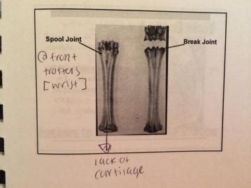 APSC 1464 Introduction To APSC Lab Final Flashcards Quizlet