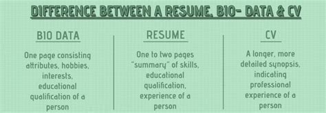 Cv Resume And Biodata