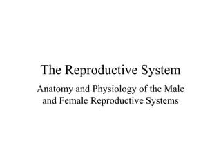 Reproductive System Anatomy And Phys Ppt