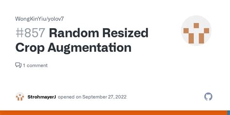 Random Resized Crop Augmentation Issue Wongkinyiu Yolov Github