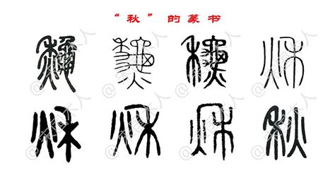 秋：汉字的起源与演变（小学一年级语文生字 第68集） 知乎