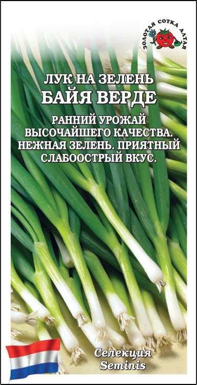 Золотая сотка алтая