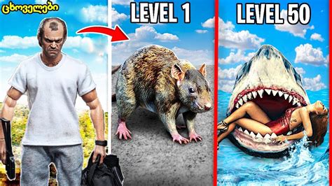 1 დღით ნებისმიერი ცხოველი გავხდი Gta 5 ში Youtube